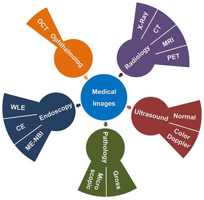 Frontiers | Artificial Convolutional Neural Network in Object Detection and Semantic ...